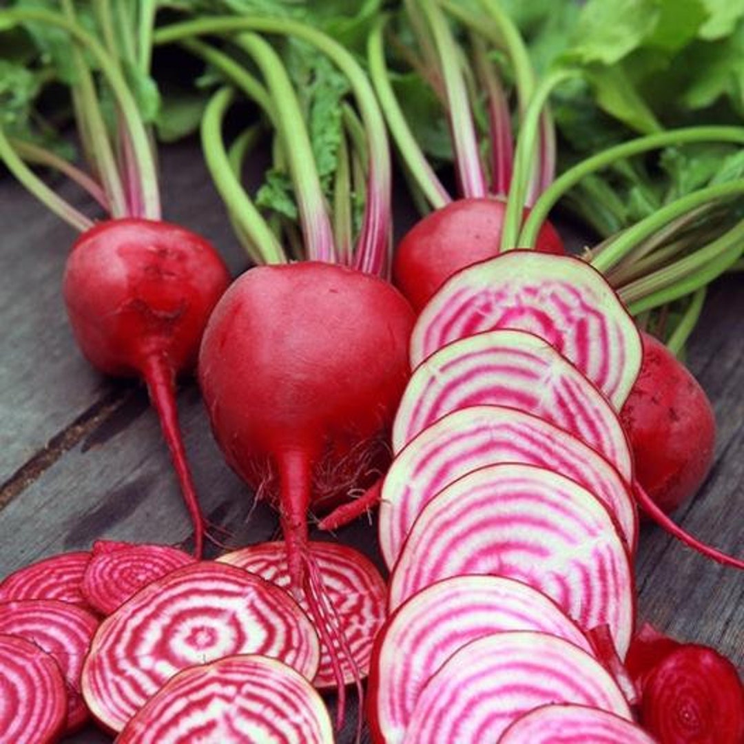 USA SELLER Chioggia Beet 50 Seeds HEIRLOOM Beta Vulgaris Subsp ...