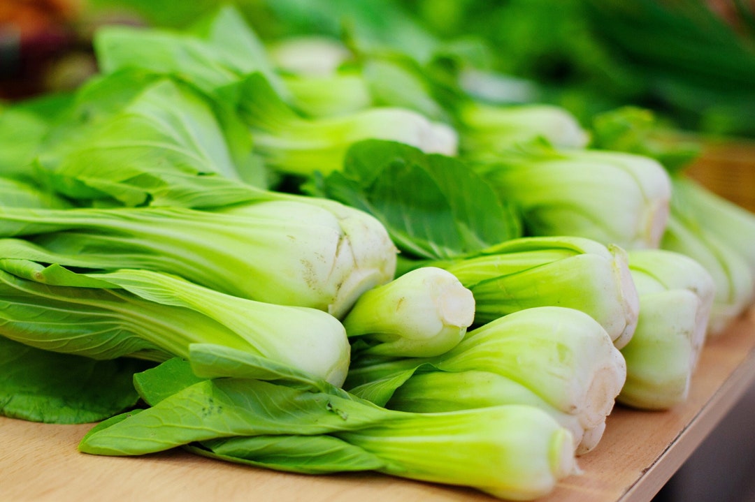 USA SELLER Canton Pak Choi Cabbage 200 Seeds HEIRLOOM Brassica Rapa ...