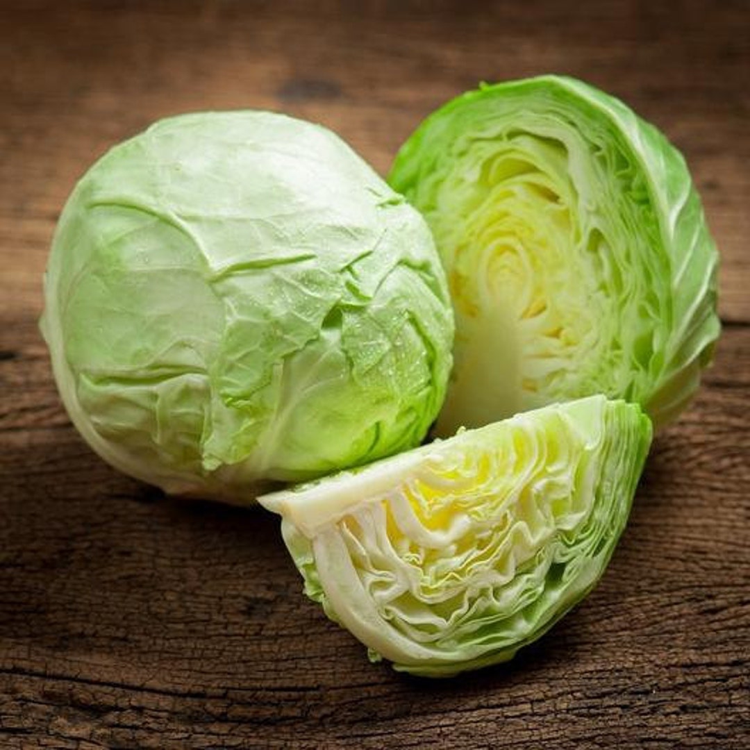 USA SELLER Late Flat Dutch Cabbage 200 Seeds HEIRLOOM Brassica Oleracea ...