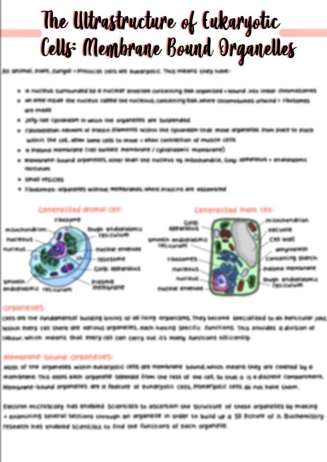 OCR A-level Biology Notes: 2.1 CELL STRUCTURE A4 Printable - Etsy UK OCR A-level Biology Notes: 2.1 CELL STRUCTURE A4 Printable - Etsy UK