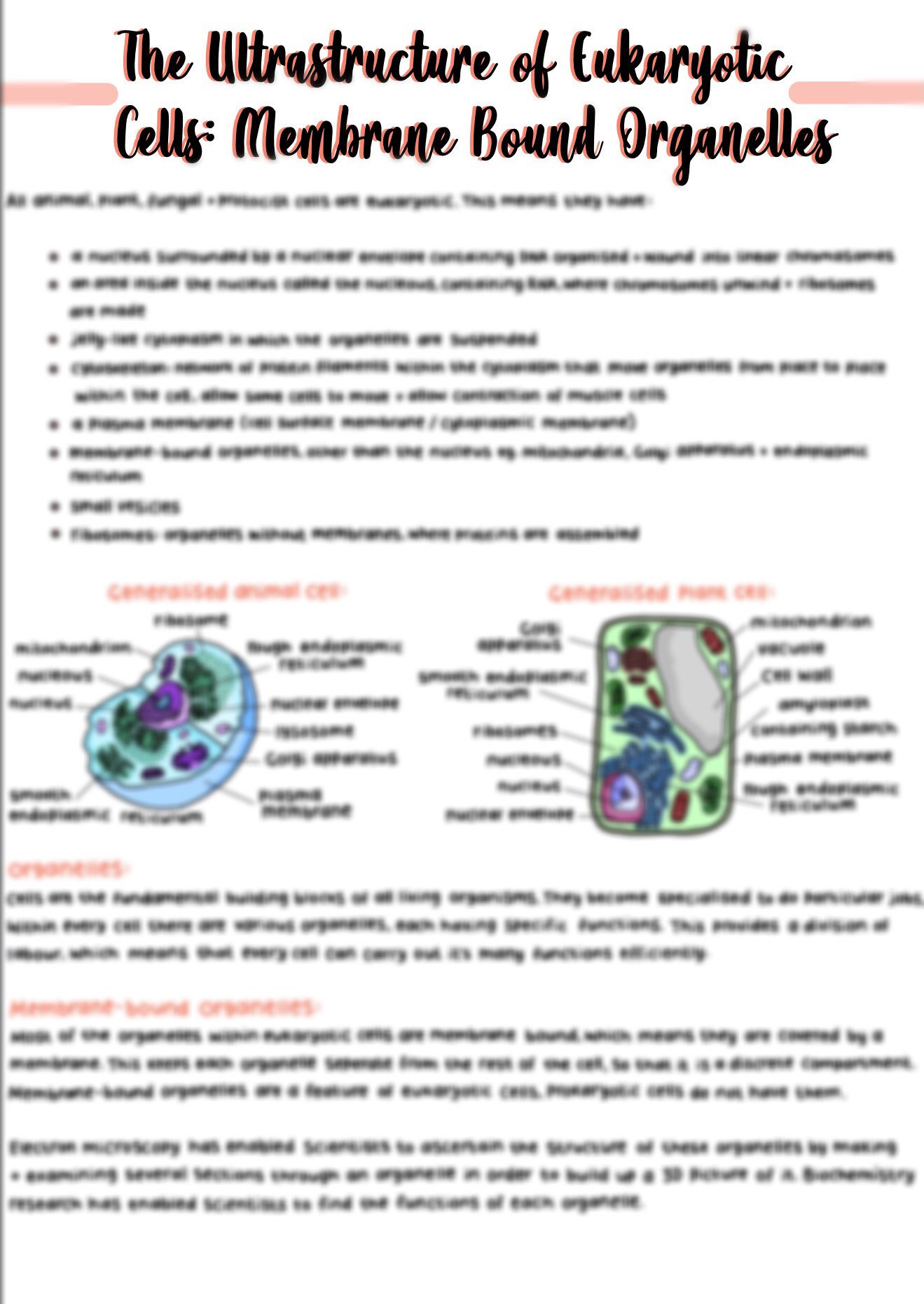OCR A-level Biology Notes: 2.1 CELL STRUCTURE A4 Printable - Etsy UK OCR A-level Biology Notes: 2.1 CELL STRUCTURE A4 Printable - Etsy UK