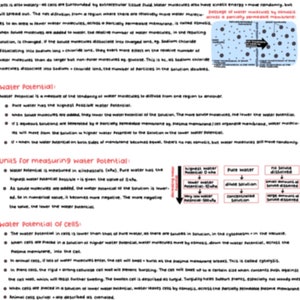 OCR A-level Biology Notes: 2.5 BIOLOGICAL MEMBRANES A4 Printable - Etsy