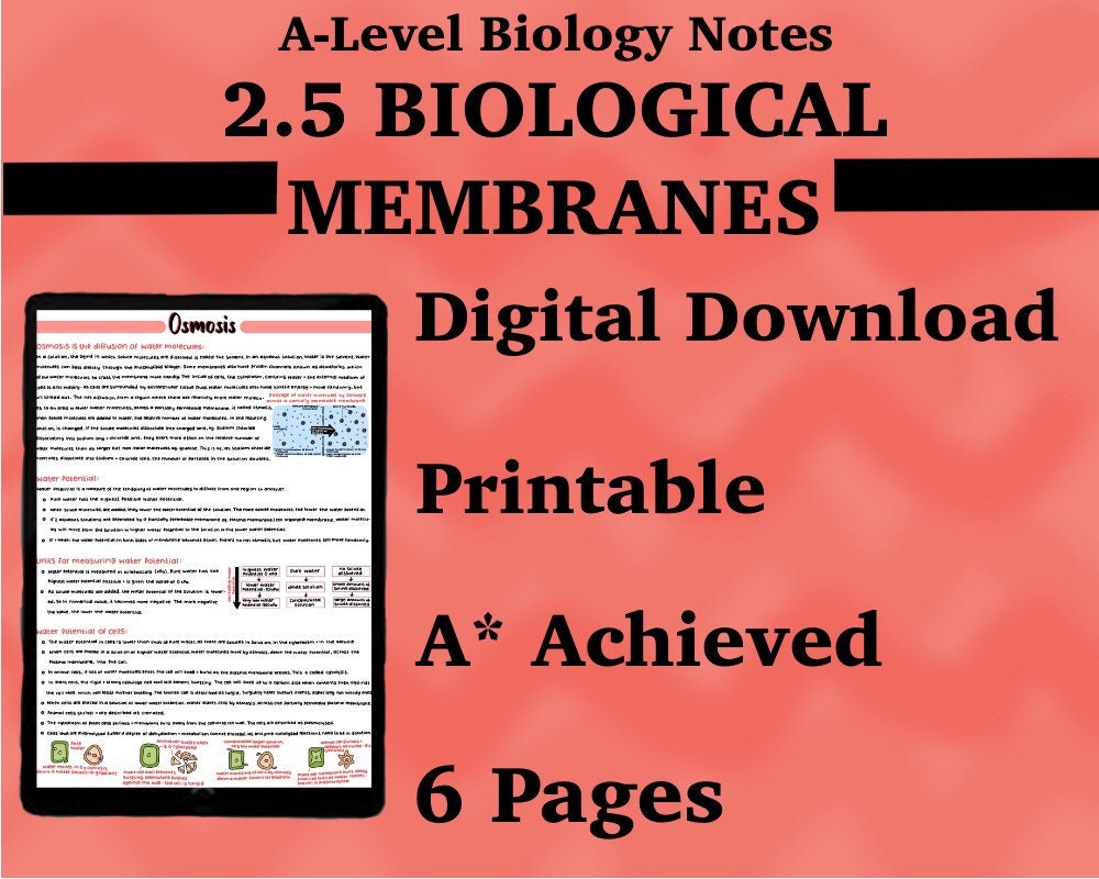 OCR A-level Biology Notes: 2.5 BIOLOGICAL MEMBRANES A4 Printable - Etsy