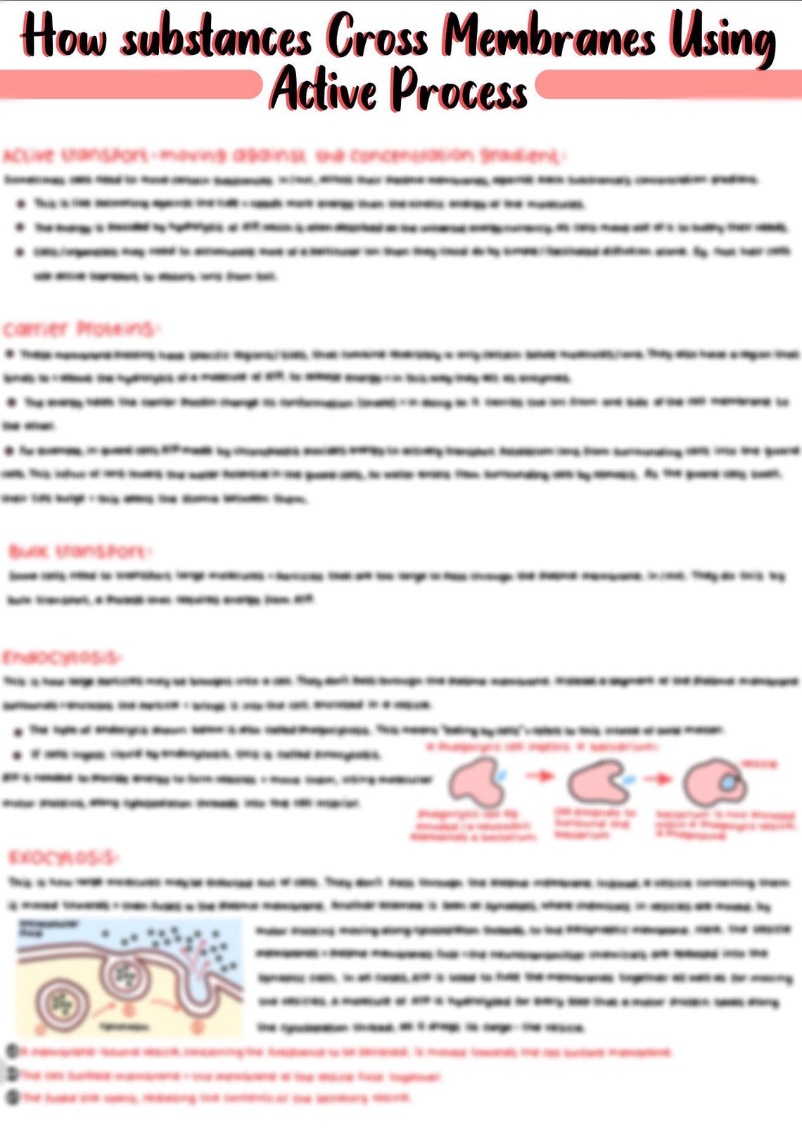 OCR A-level Biology Notes: 2.5 BIOLOGICAL MEMBRANES A4 Printable - Etsy