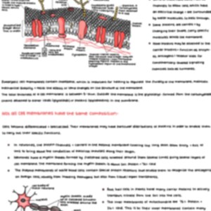OCR A-level Biology Notes: 2.5 BIOLOGICAL MEMBRANES A4 Printable - Etsy