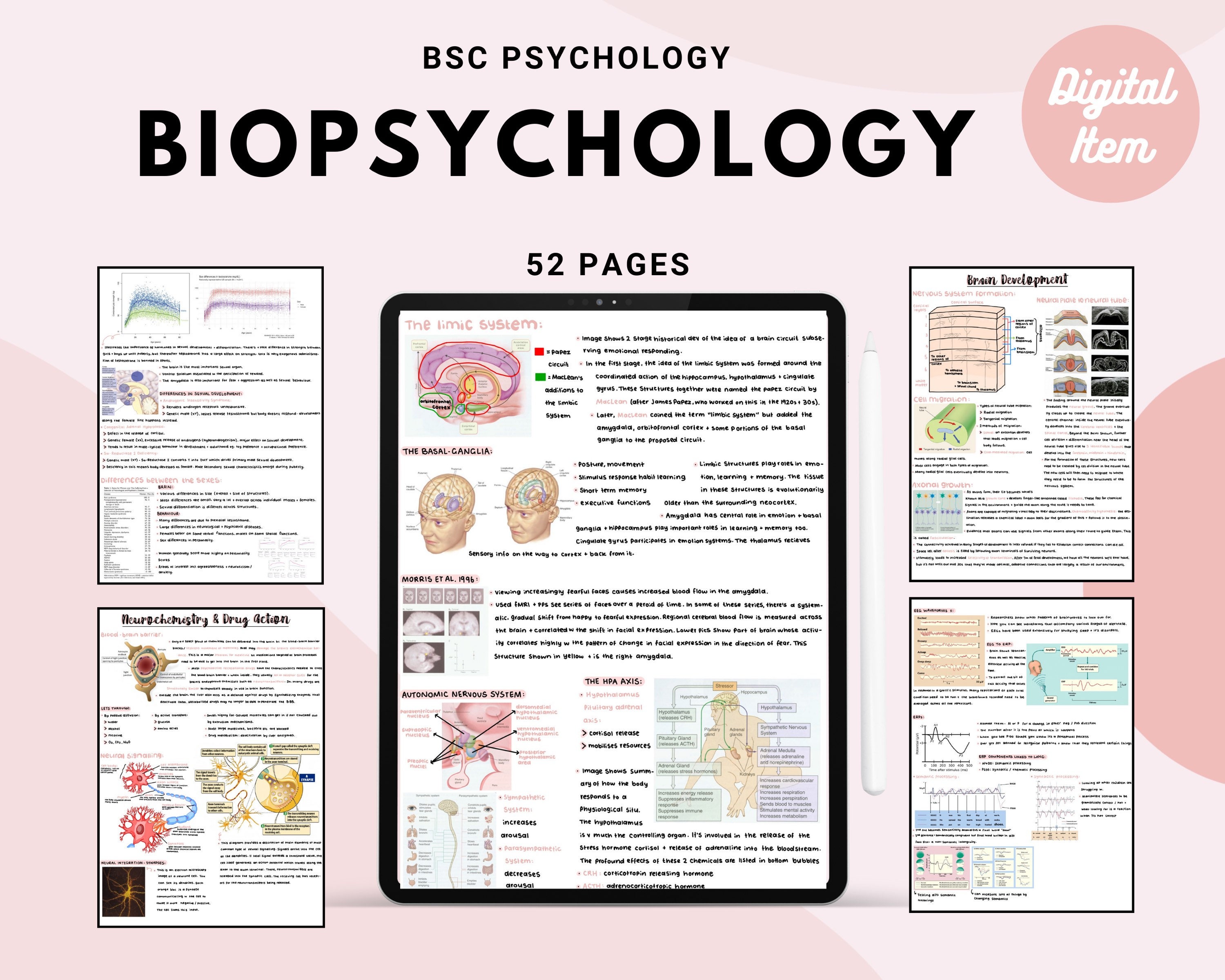 Bsc Psychology Complete Notes: BIOPSYCHOLOGY - Etsy
