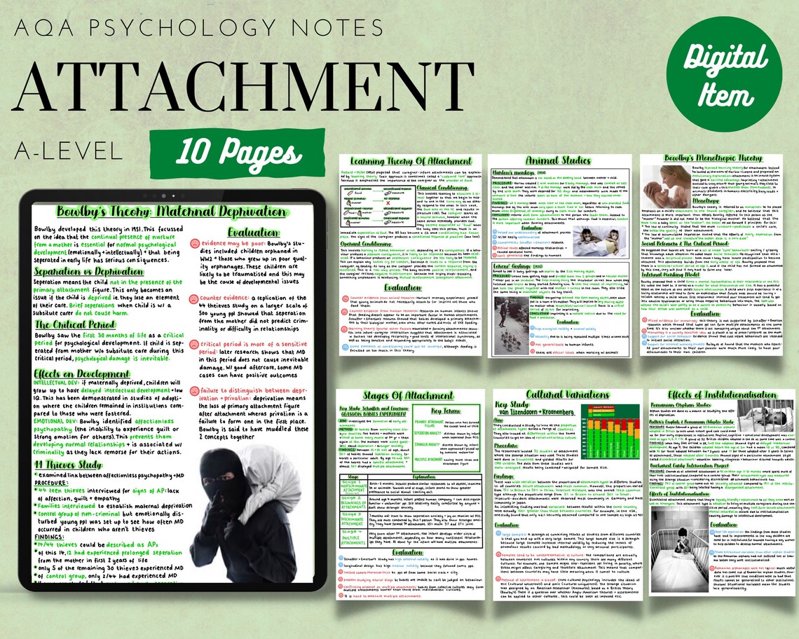 AQA A-level Psychology Complete Handwritten Notes: APPROACHES - Etsy