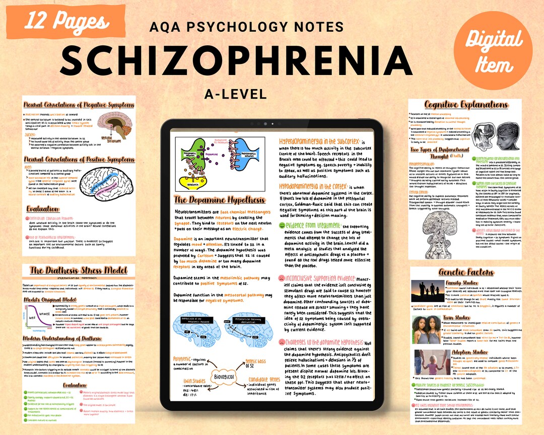 AQA A-level Psychology Notes: SCHIZOPHRENIA White Background Printable ...