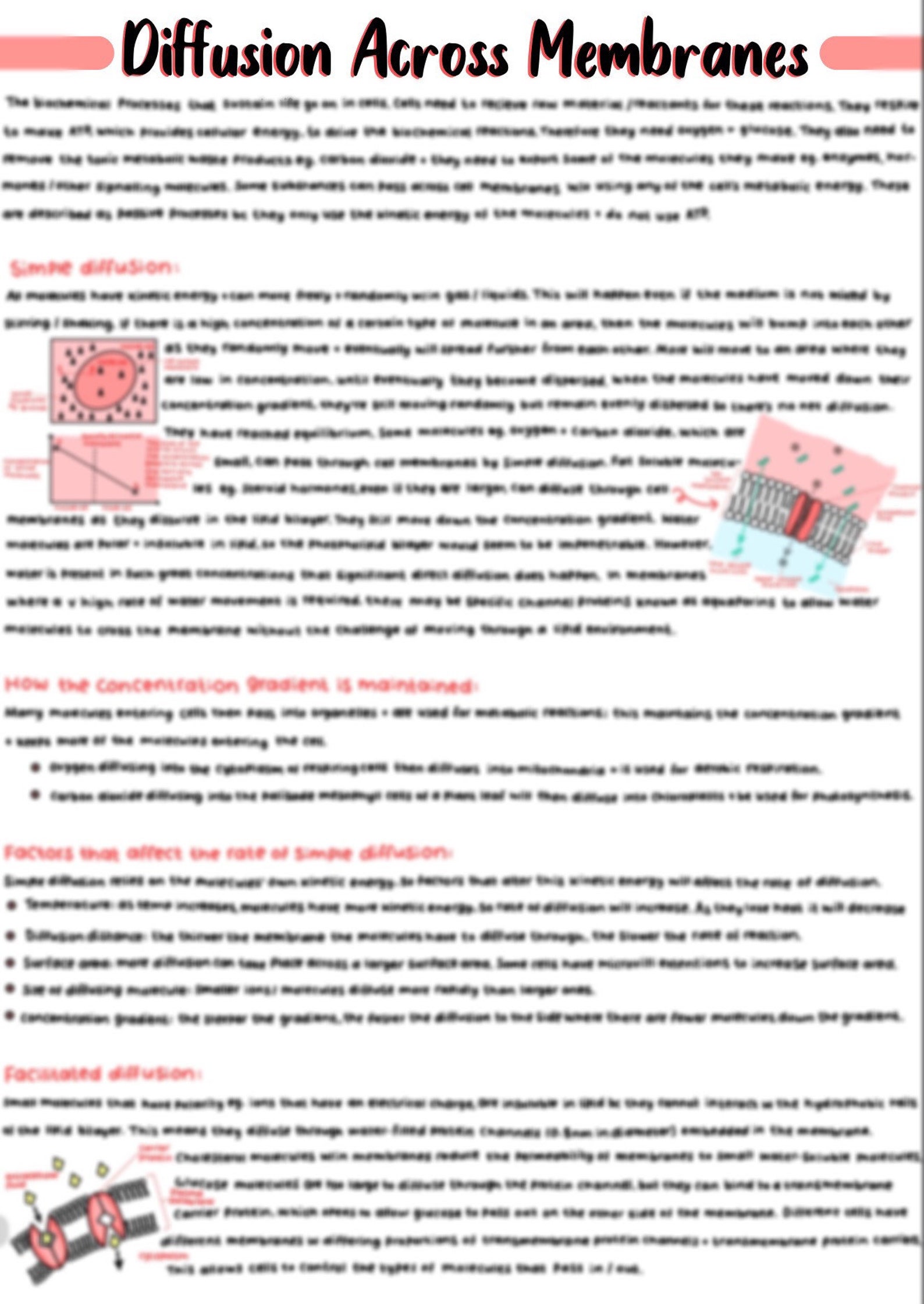 OCR A-level Biology Notes: 2.5 BIOLOGICAL MEMBRANES A4 Printable - Etsy