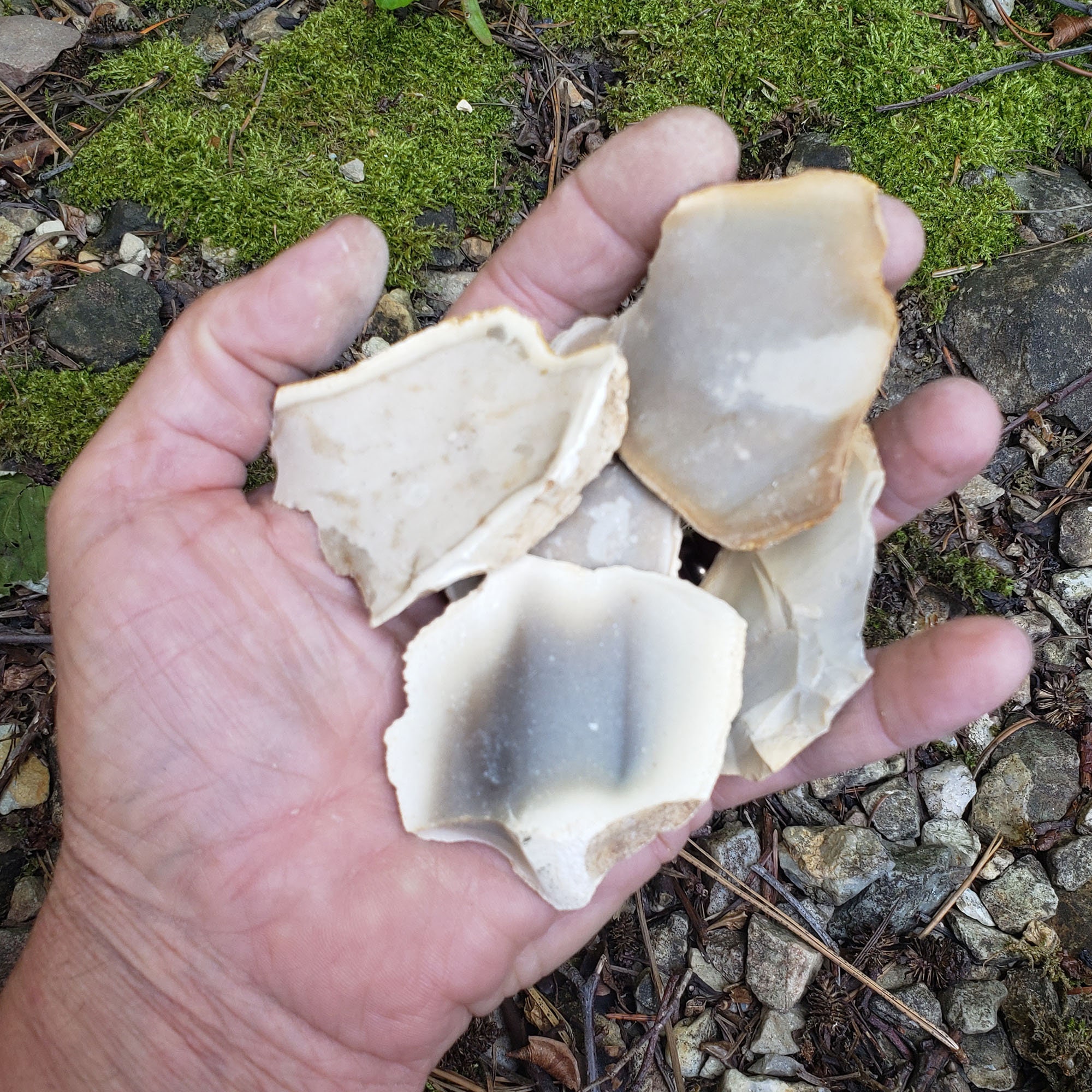 Natural Flint / Chert Stones for Primitive Fire Making 6-8 - Etsy