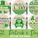 St Patricks Day Leprechaun Svg, Leprechaun Svg, Shamrock Svg, Lucky Svg ...