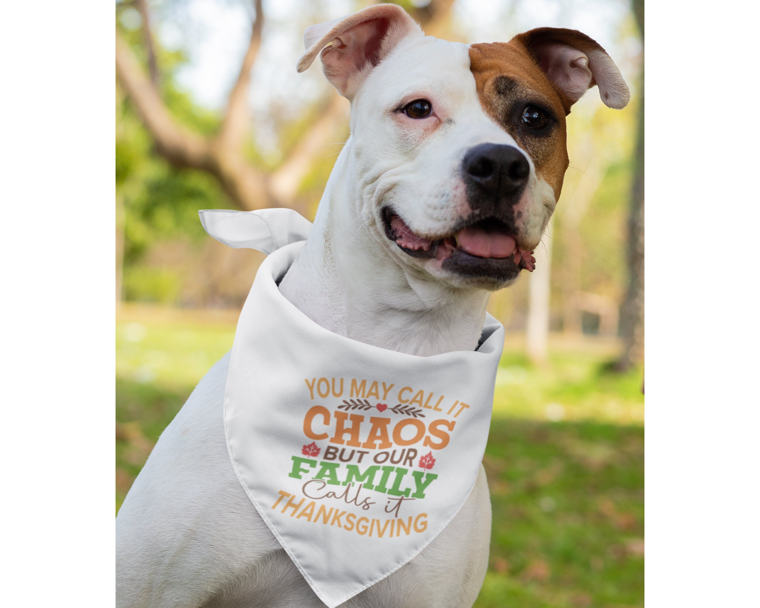 You May Call It Chaos but Our Family Calls It Thanksgiving SVG, Funny ...