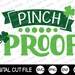 St Patricks Day Svg, Pinch Proof Svg, Shamrock Svg, Clover Svg, Lucky ...