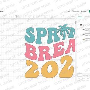 Spring Break 2025 SVG, Spring Break Png, Group Trip, Beach Vacation ...