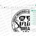 Spring Break 2025 SVG, Spring Break Svg, Spring Break Png, Vacay Mode ...