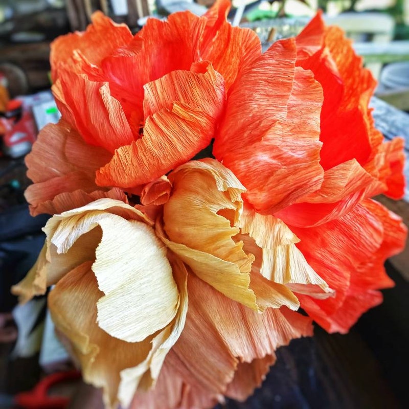 Paper Poppies - Etsy