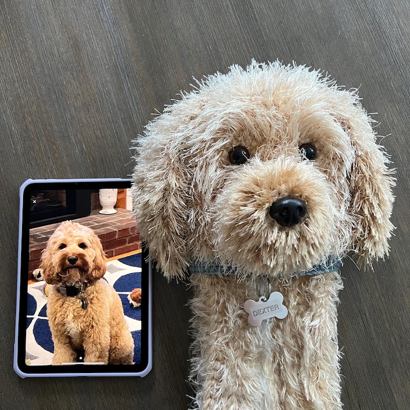 Custom Mini Golf Club - Etsy