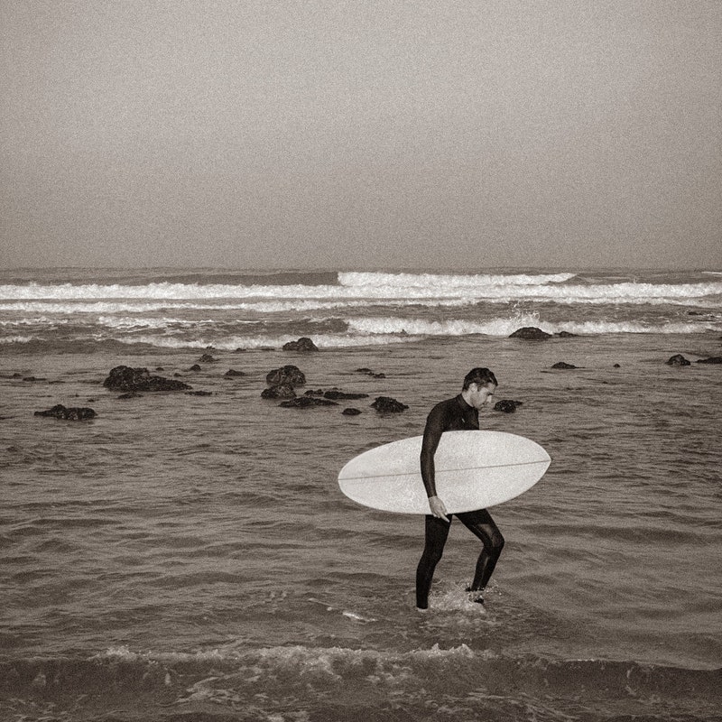 Cat Decor Posters - Etsy