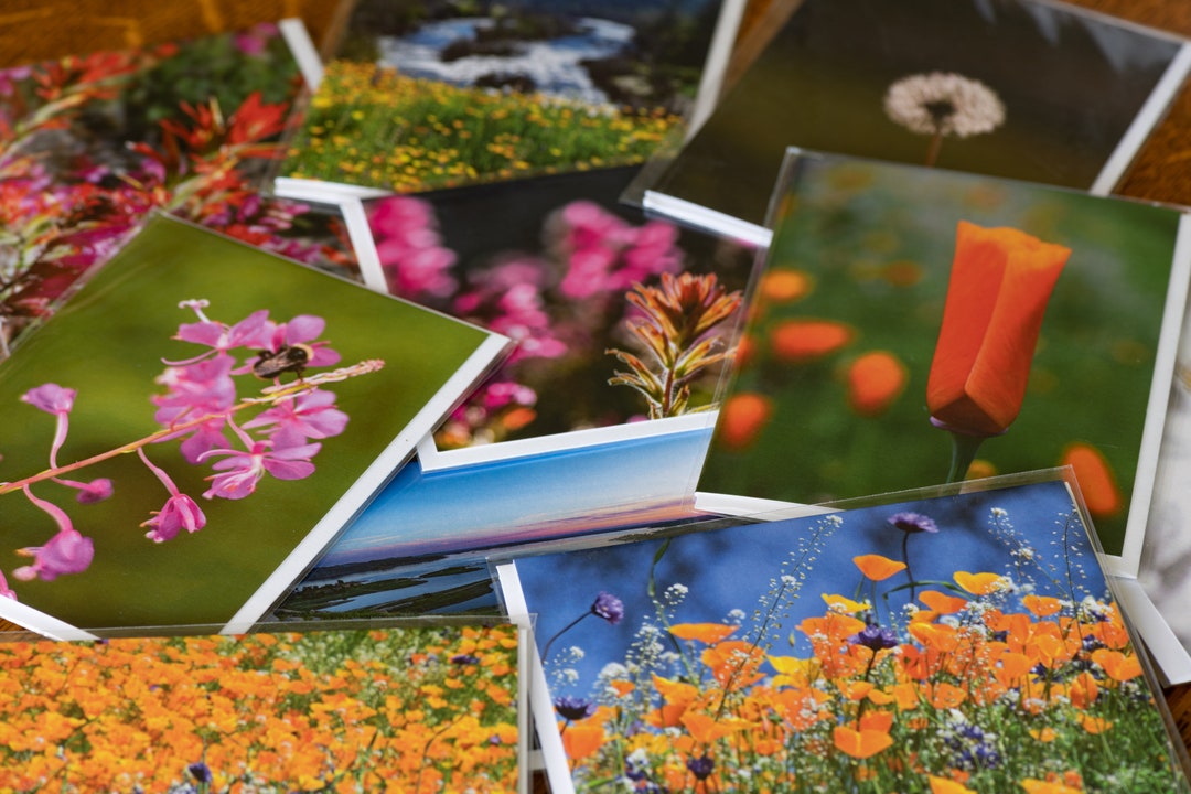 10 Blank Photo Note Cards Assorted Wildflower Cards Floral Etsy 10-blank-photo-note-cards-assorted-wildflower-cards-floral-etsy
