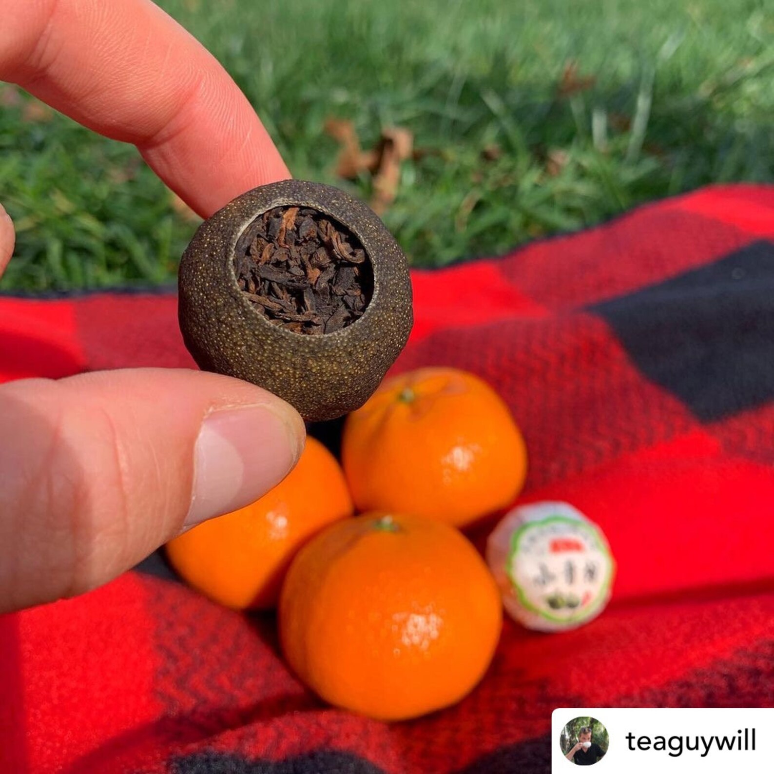 Green Dried Tangerine Shell Stuffed With Ripened Puerh Tea | Chinese ...