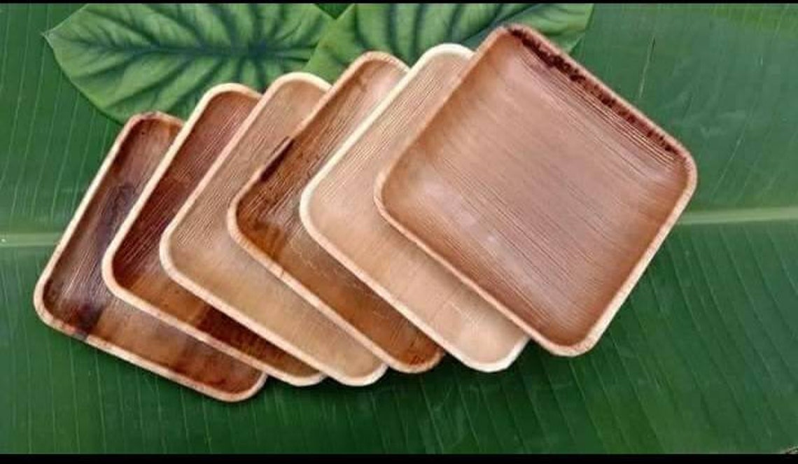 Areca leaf plates 6 pices biodegradable plates Arecanut hemp | Etsy
