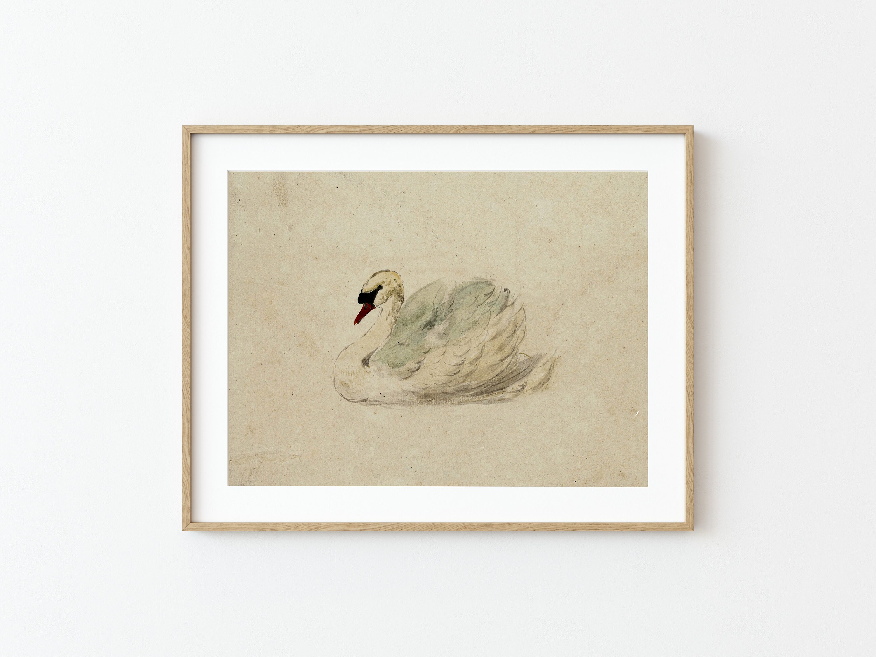 Swan Painting Vintage Muted Neutral Bird Sketch Art Print Digital ...