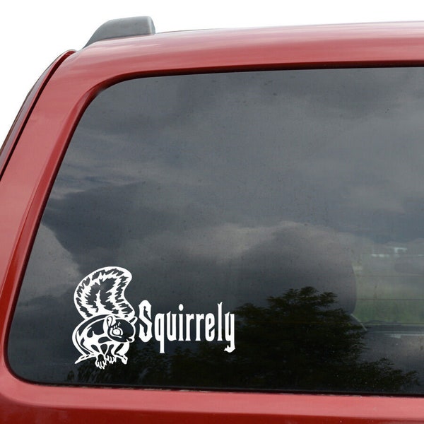 Squirrel Wall Decal - Etsy