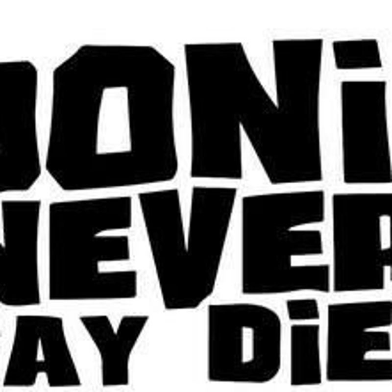 Goonies Decal - Etsy