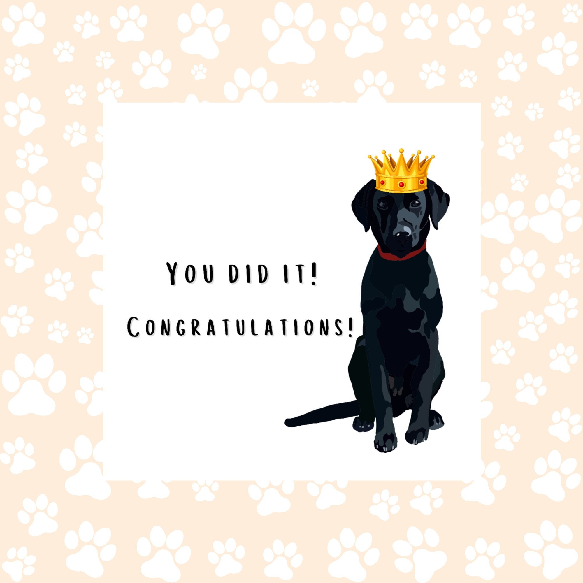 Congratulations Dog