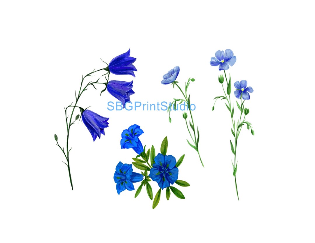Bluebell, Craft,flowers, Furniture , Waterslide, Vinyl, Print - Etsy