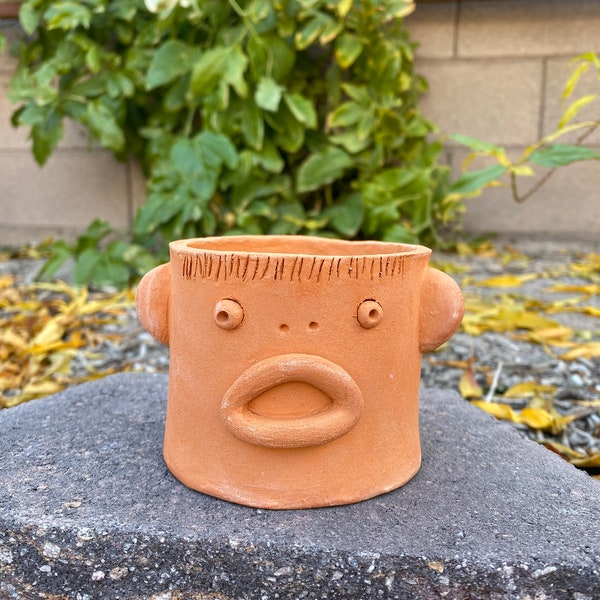 Face Plant Pot - Etsy