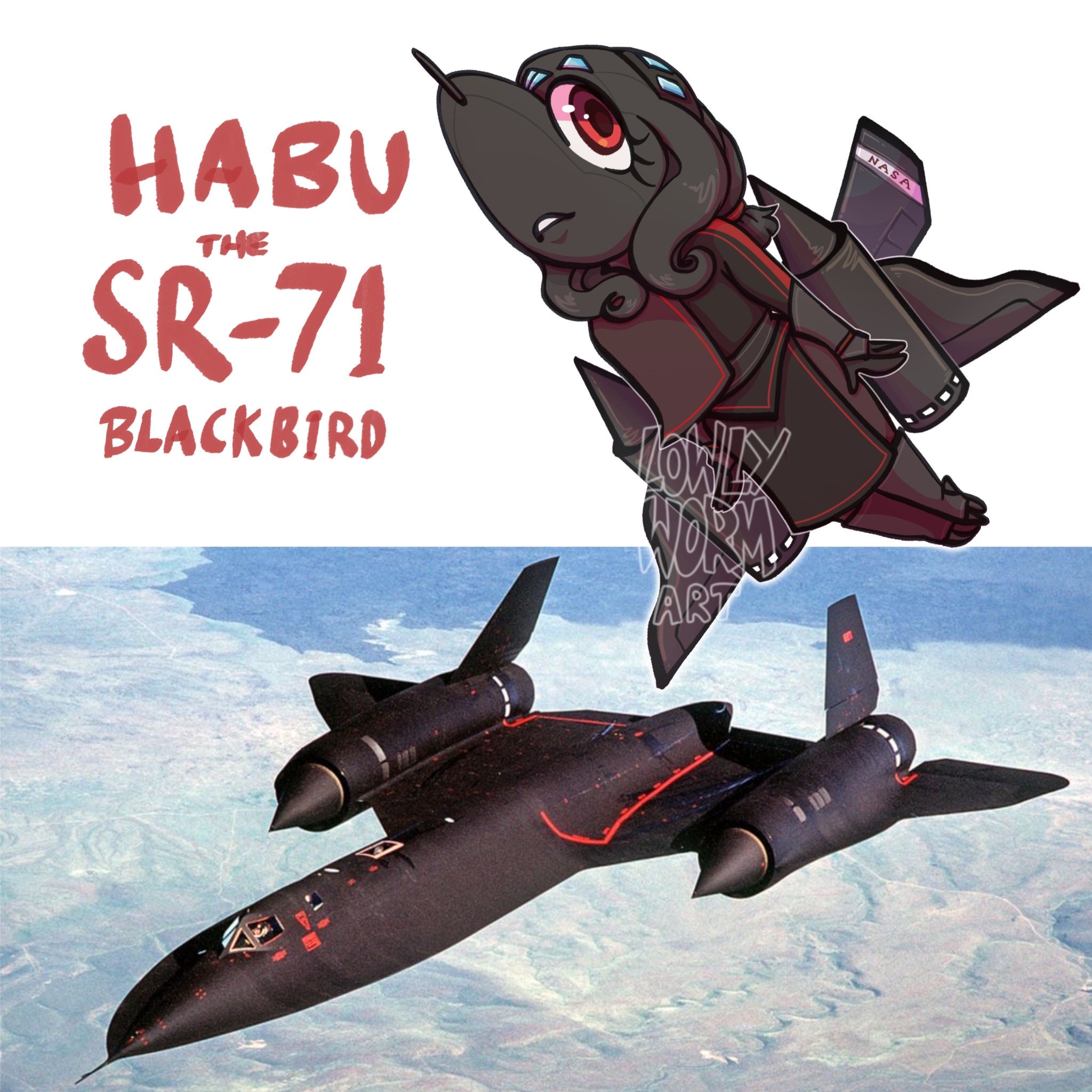 Habu the SR-71 Blackbird Handmade Chibi Airplane Vinyl - Etsy Canada