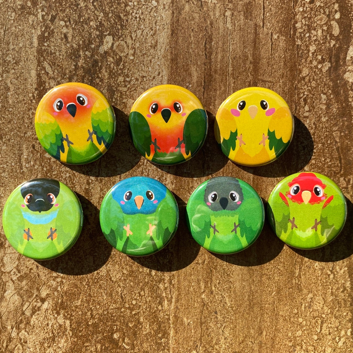 Chibi Large Conure Button Pin- Sun Conure/jenday/nanday/blue Headed ...