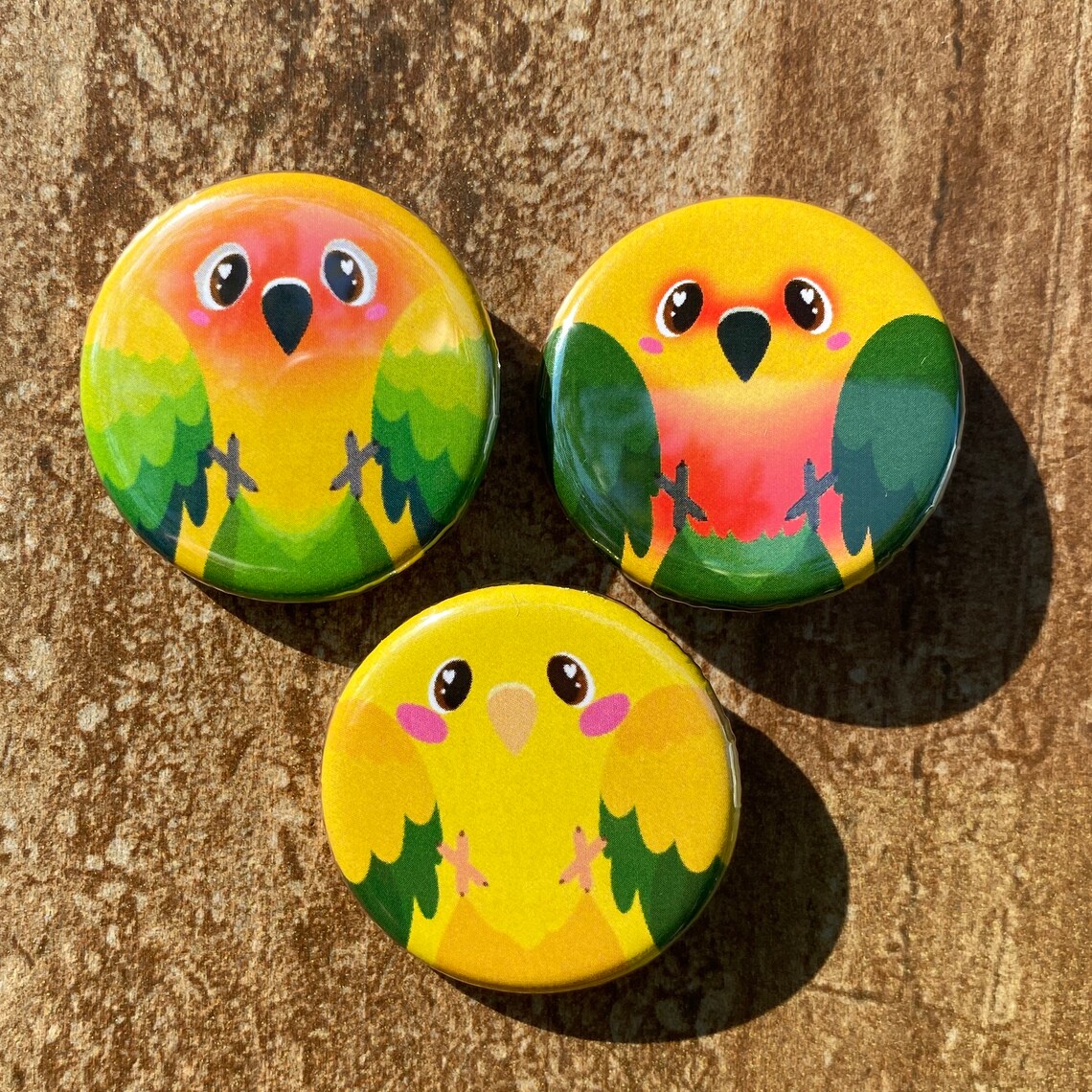 Chibi Large Conure Button Pin- Sun Conure/jenday/nanday/blue Headed ...