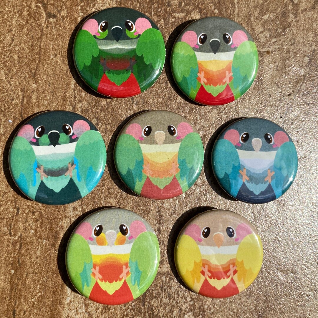 Chibi Green Cheeked Conure Button Pin- Cinnamon/turquoise/yellow-sided ...