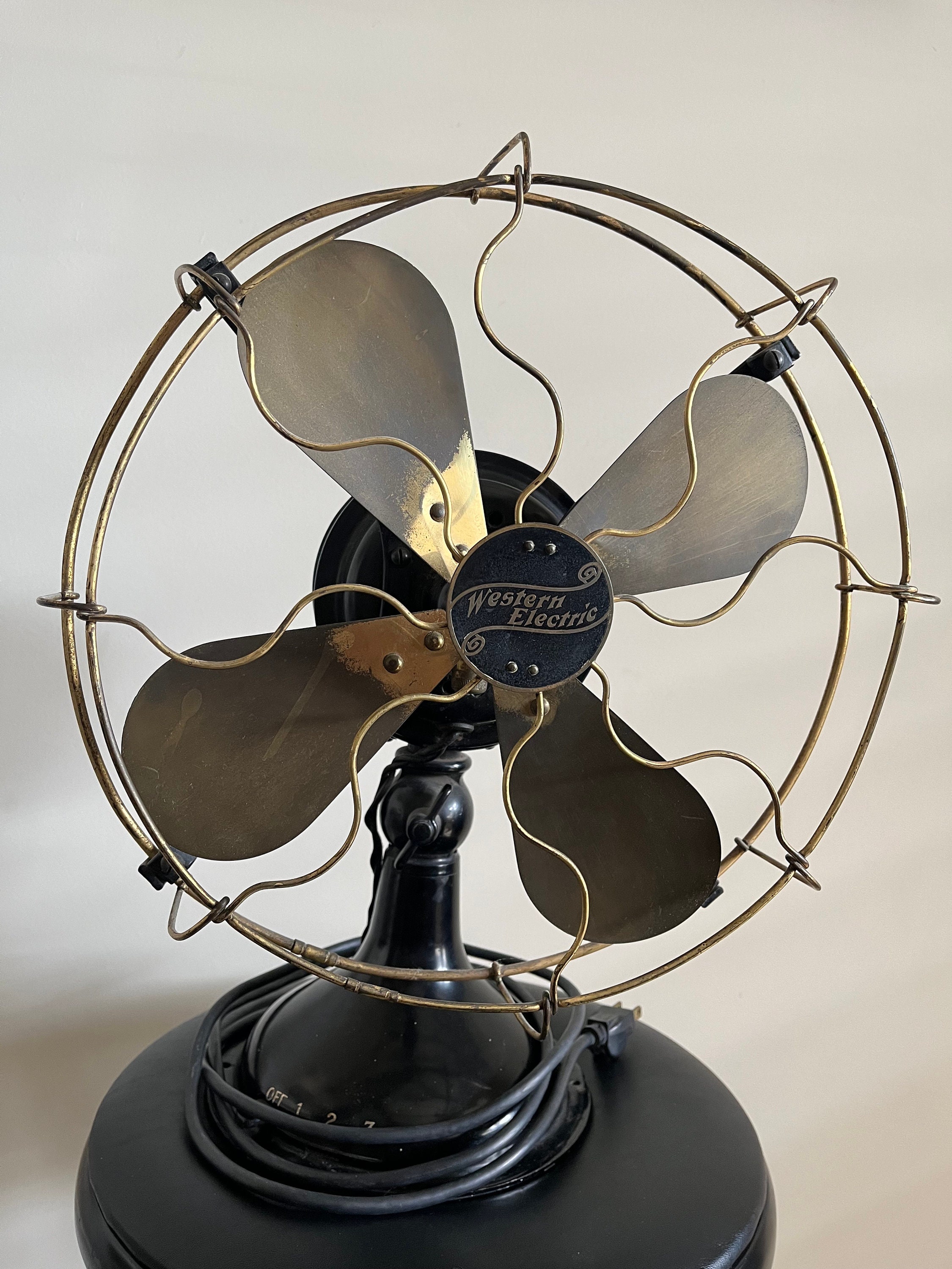 Fan 1920s