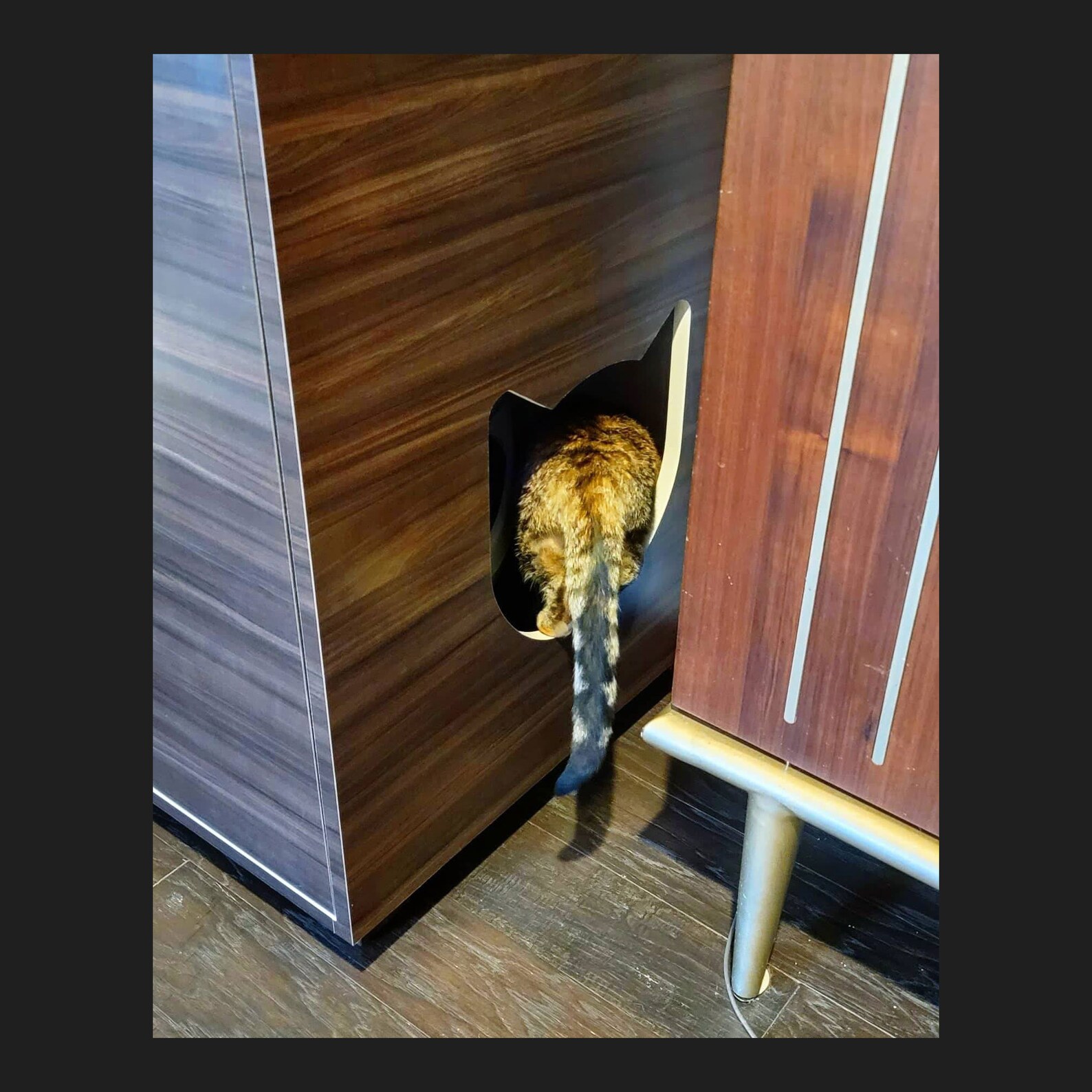 Preassembled Versatile Cat Cabinet for Litter-robot Cat Furniture ...