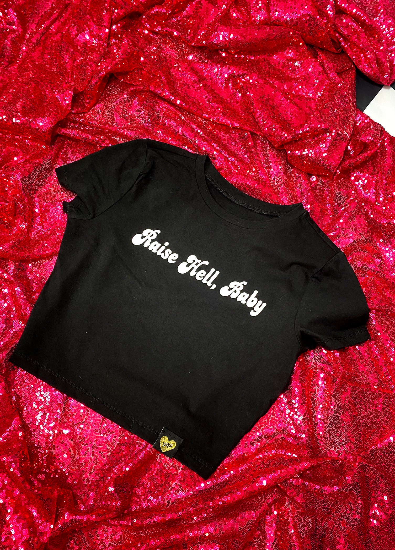 Raise Hell Baby Crop Top | Rock N Roll Clothing - Etsy