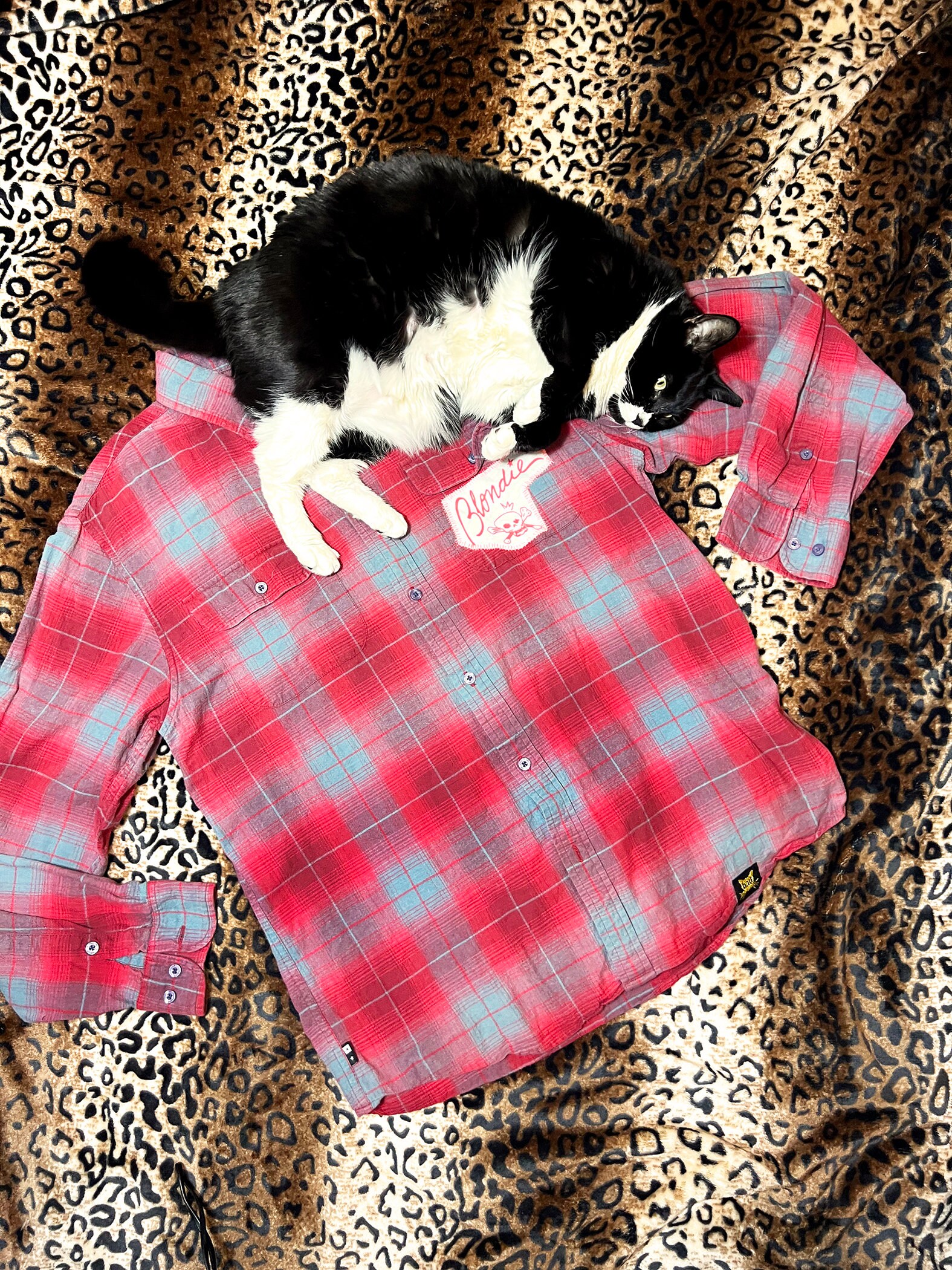 Blondie Camp Funtime Flannel Rock N Roll Clothing - Etsy