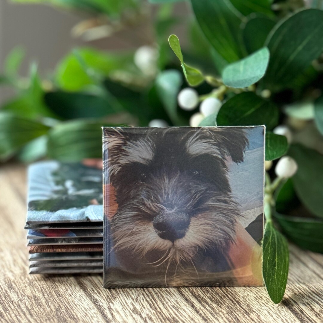 Photo Magnets 2.5"x2.5" Square | Fridge Magnet | School Photo | Trip ...