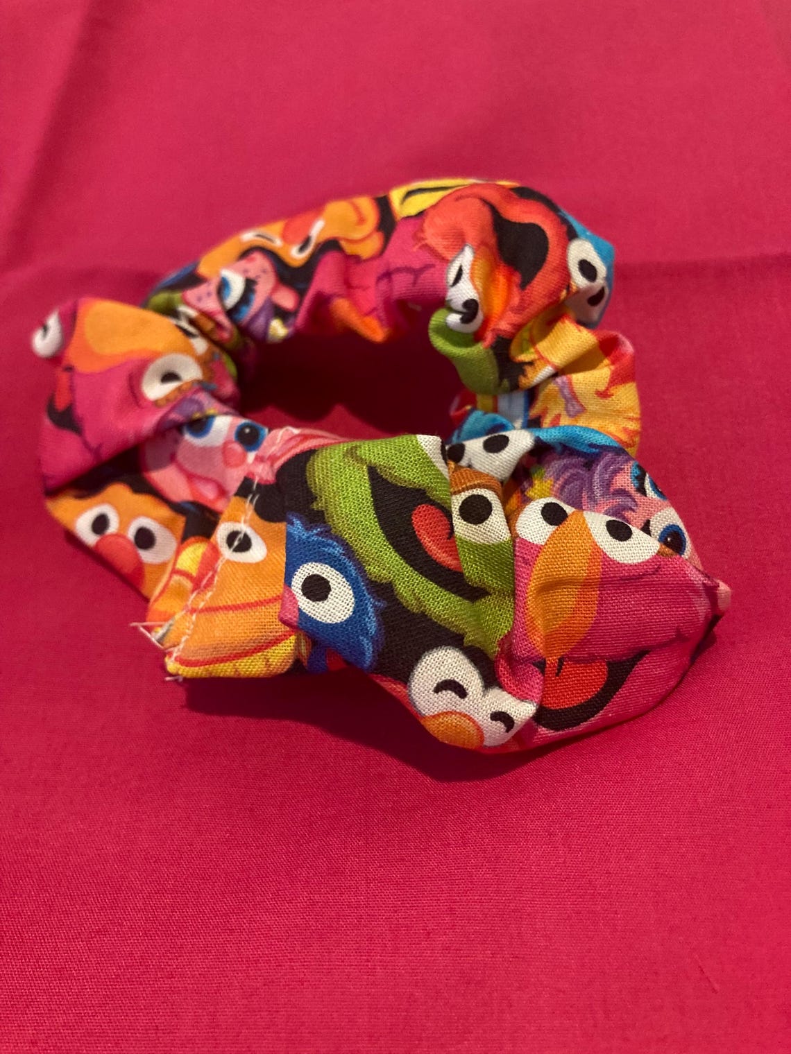 Sesame Street Bright Scrunchie - Etsy