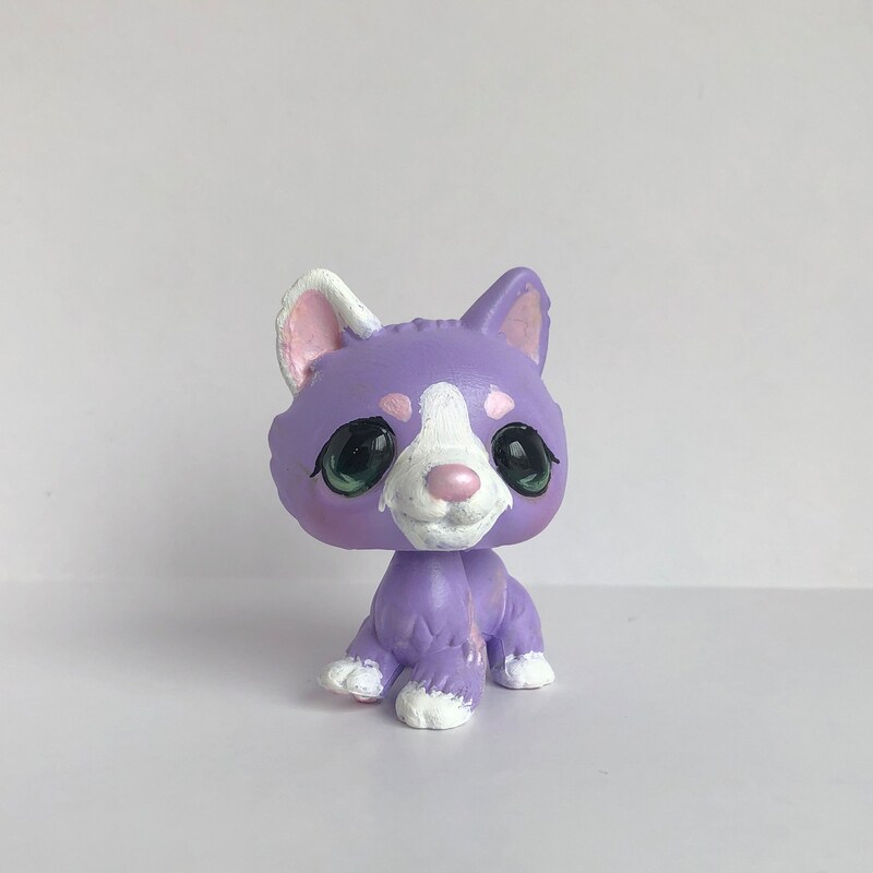 Lps Custom - Etsy