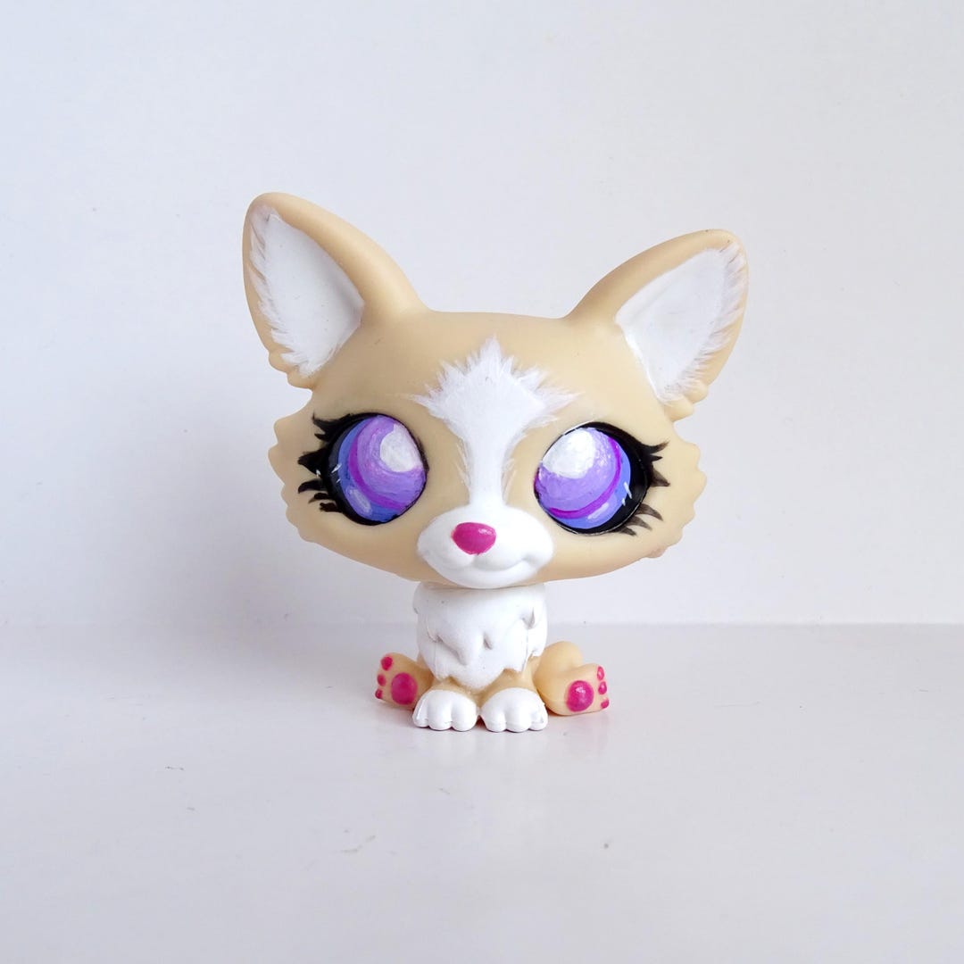 Lps Custom G7 Corgi Partial Custom - Etsy