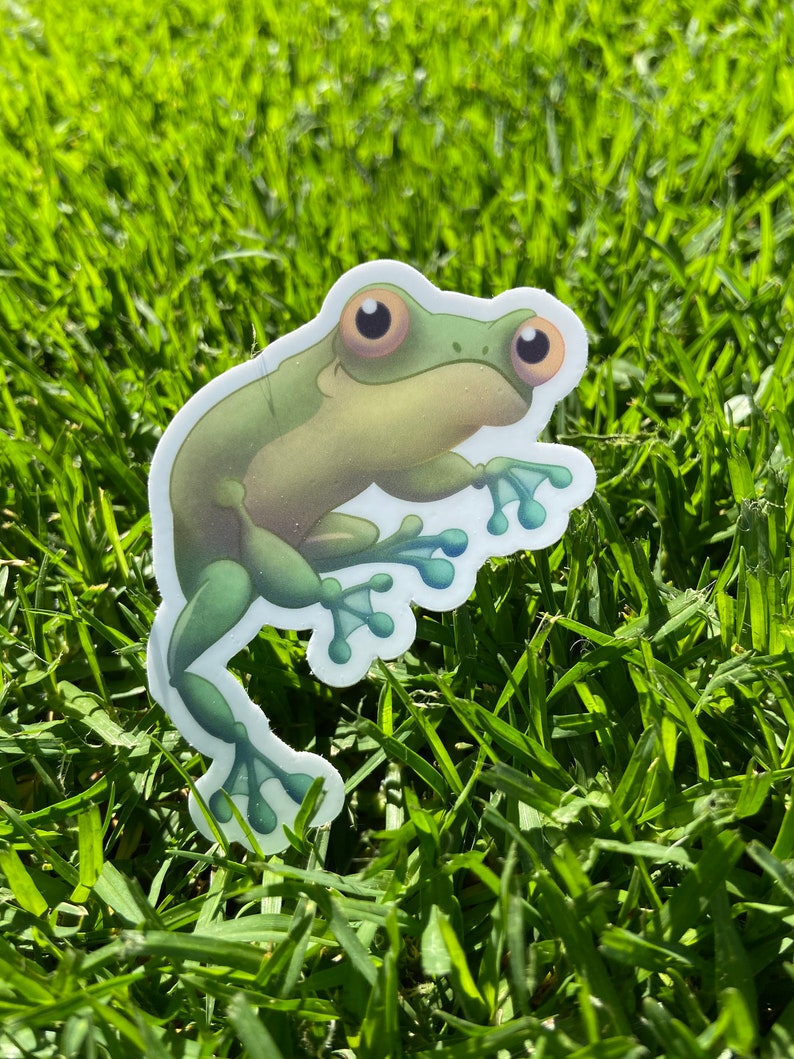 Tree Frog Vinyl Sticker - Etsy