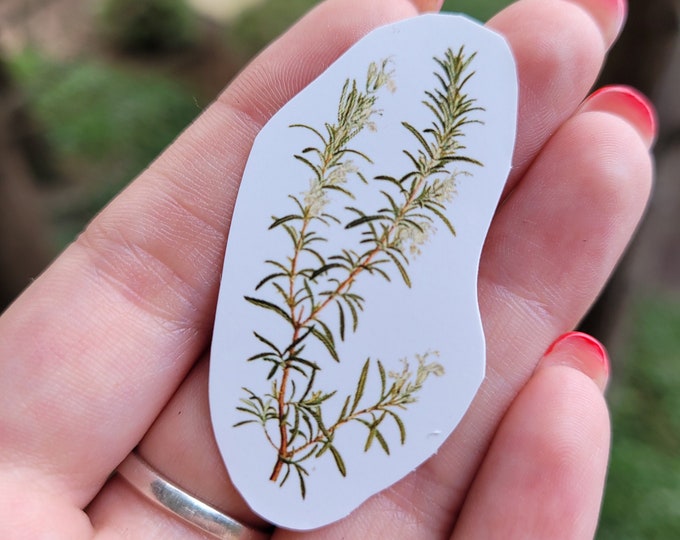 Rosemary Temporary Tattoo Sticker set of 2 - Etsy