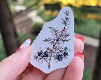 Juniper Sticker - Etsy