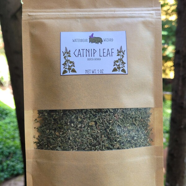 Catnip - Etsy