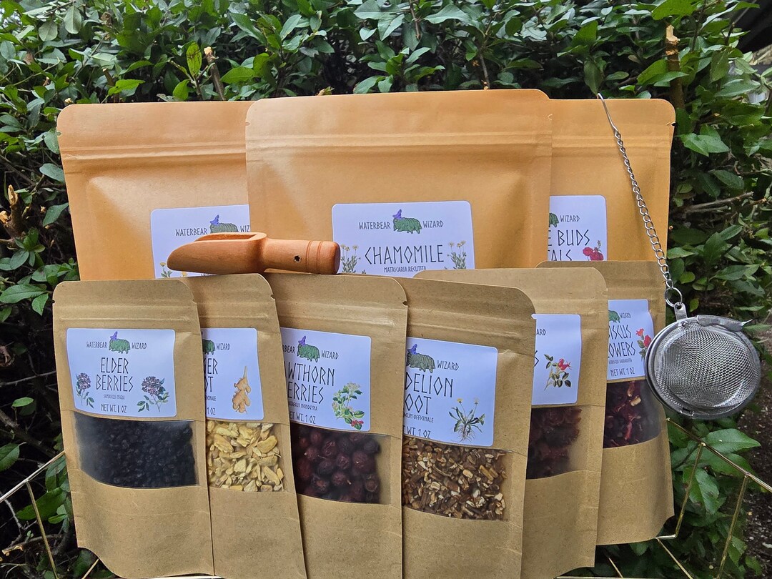 Beginner Herbalist Kit 15 Herbs - Etsy