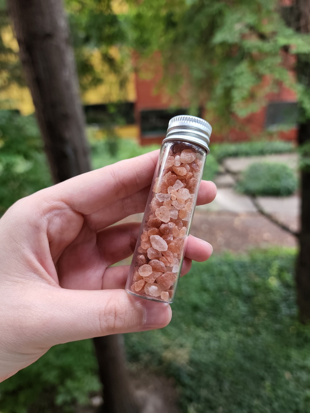 Pink Himalayan Rock Salt - 20ml Screw Top Glass Jar - Etsy