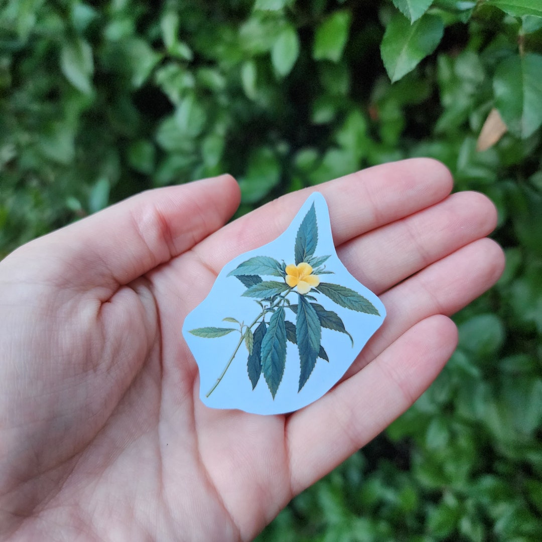 Damiana Grimoire Sticker Hand Cut - Etsy